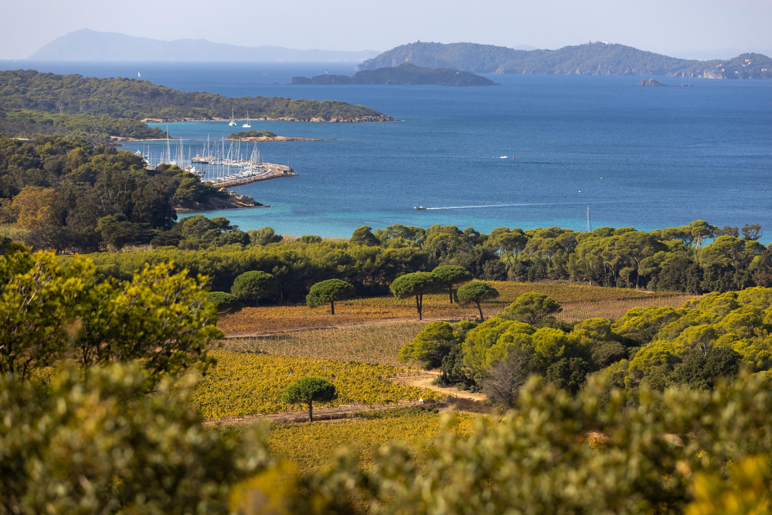Porquerolles : La Courtade rosé 2022 – Revue Vinicole Internationale – RVI