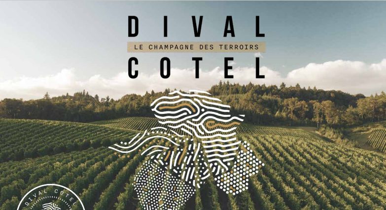InVivo lance le Champagne Dival Cotel – Revue Vinicole Internationale – RVI
